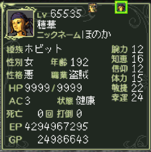 【DS】エルミナージュDS Remix｜盗賊の最強装備構成考察（クリア後やり込み向け） | 蓮華の記録帳